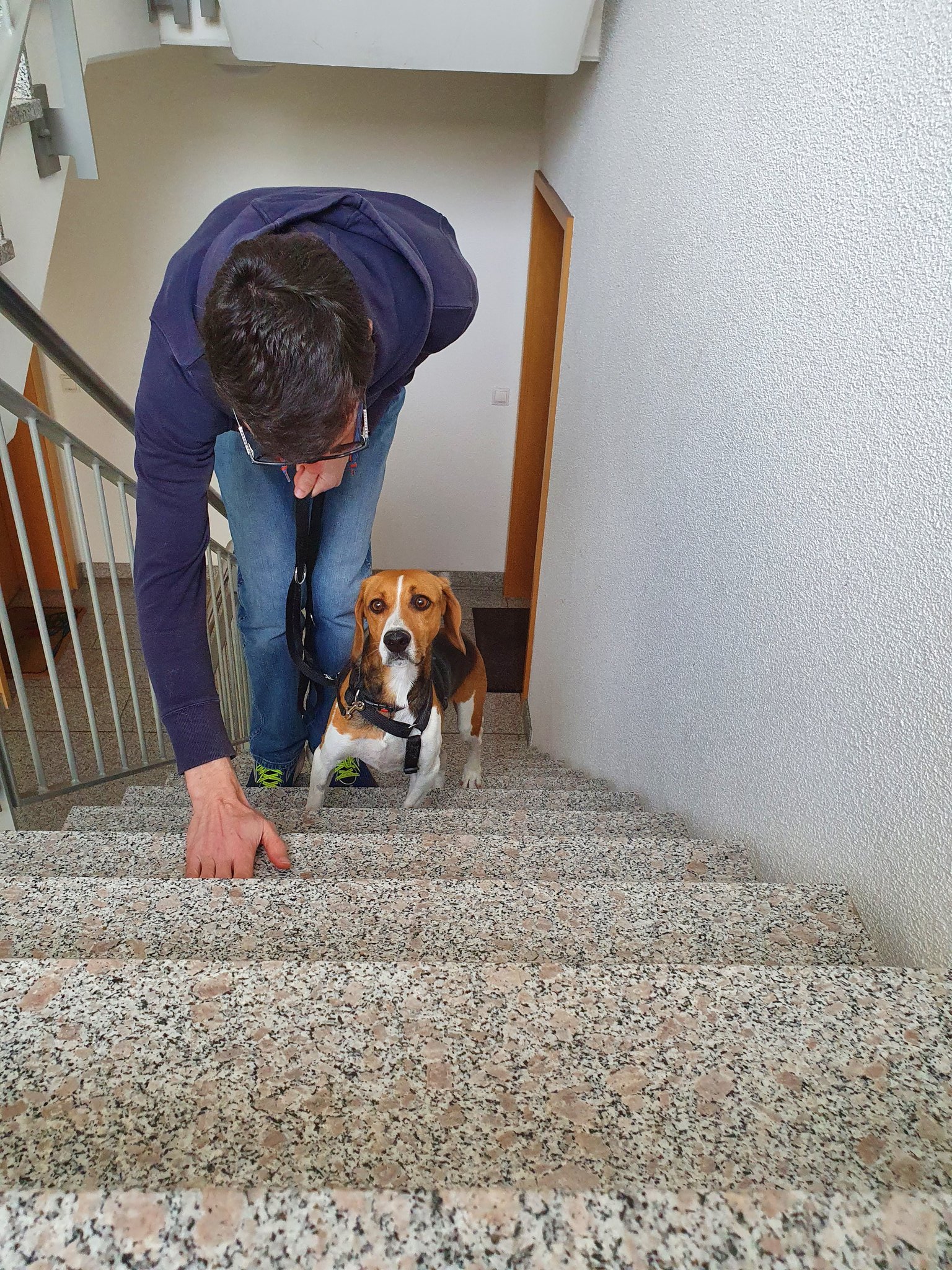 A Sunny disposition – Dexter