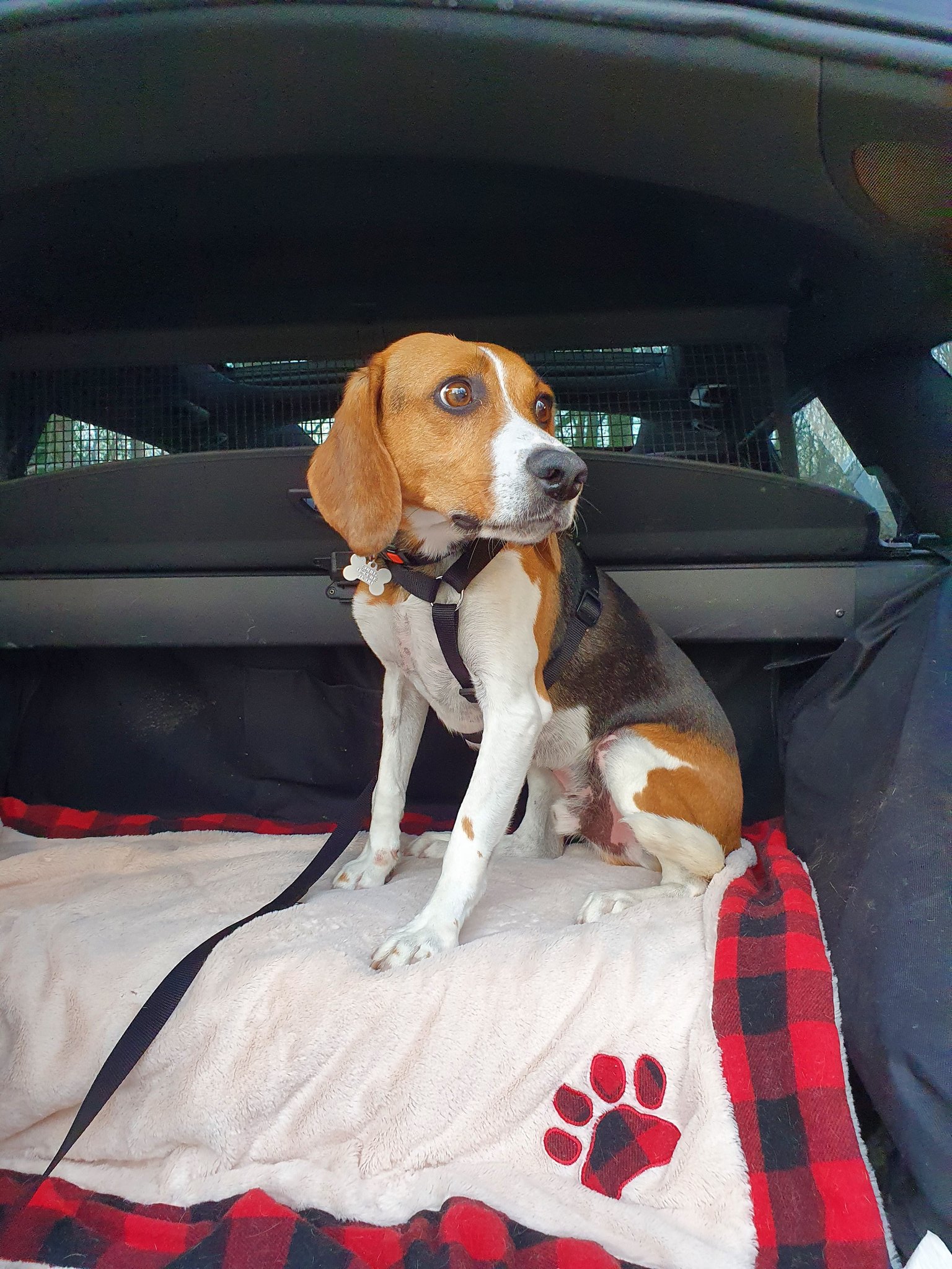 A Sunny disposition – Dexter