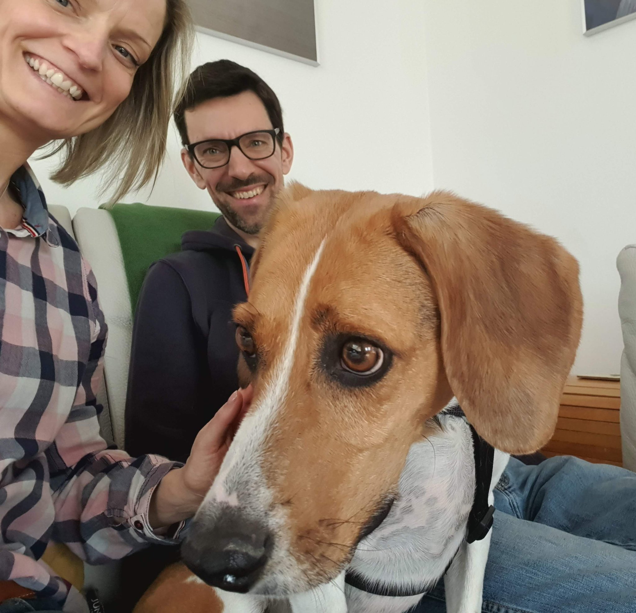 A Sunny disposition – Dexter