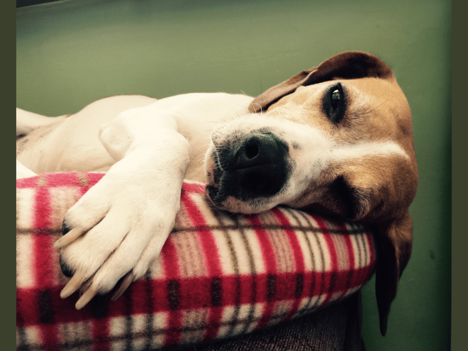 Farewell to another original – Dexter