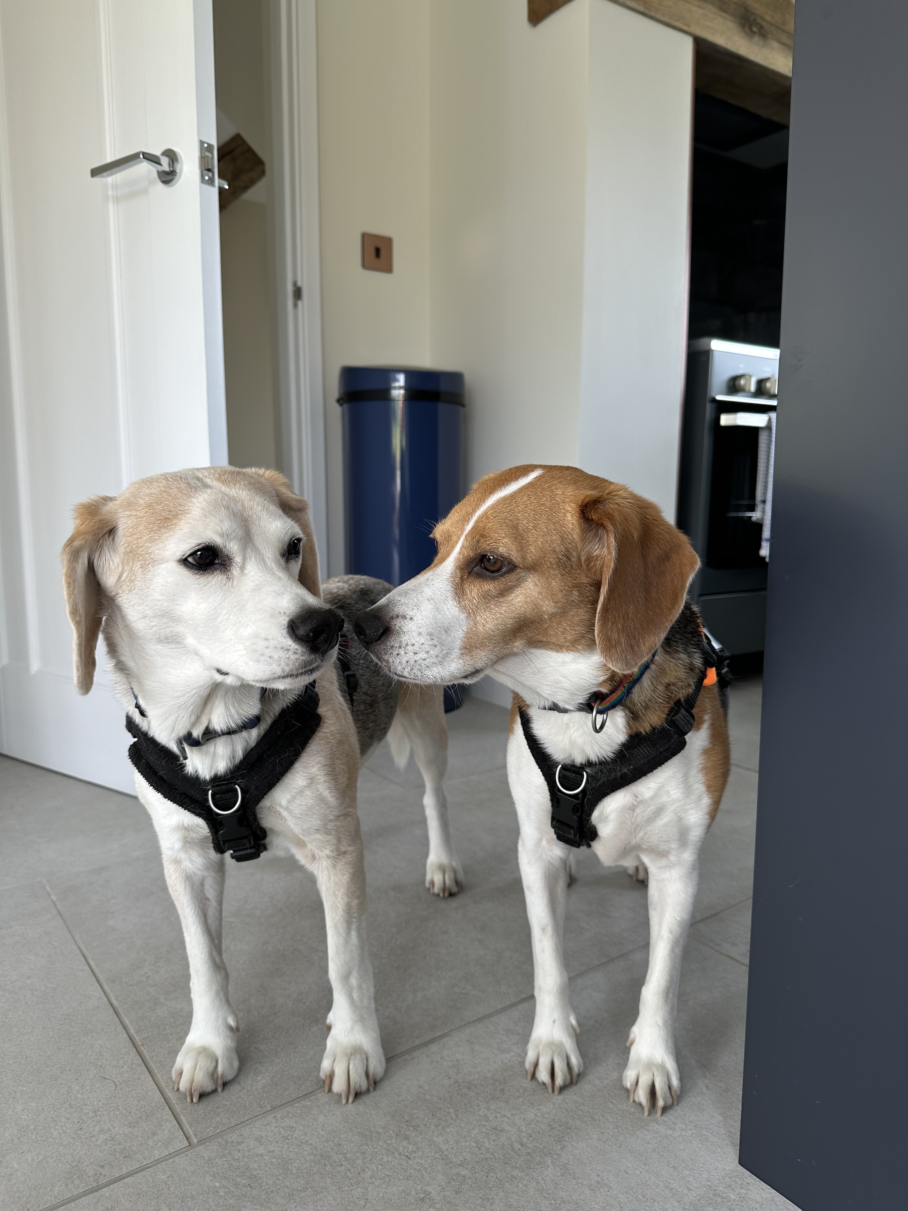 Happy birthday Lenny – Dexter