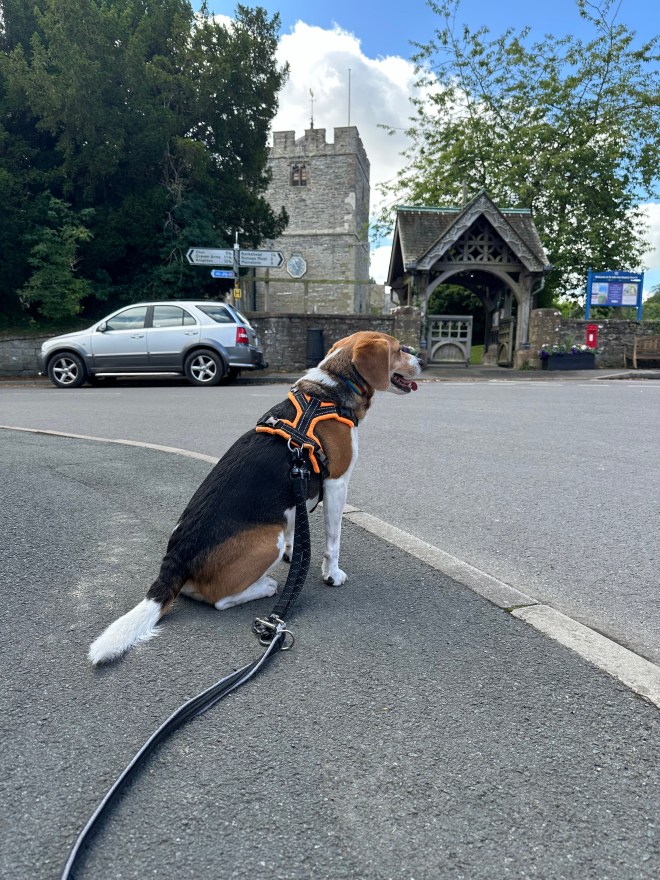 Happy birthday Lenny – Dexter