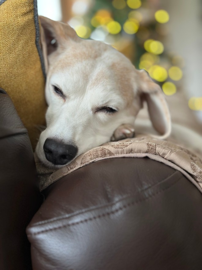 Eleven years and counting – Dexter