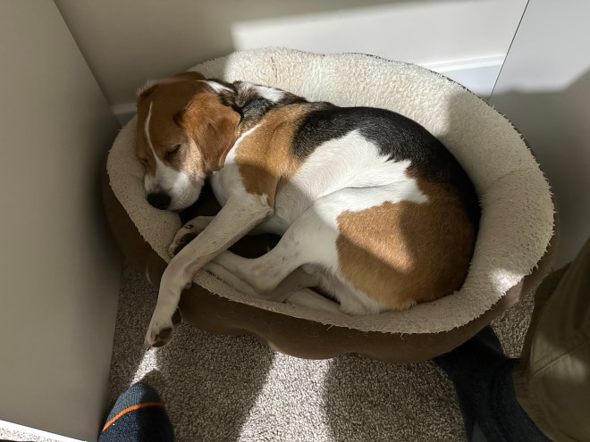 Ludlow calling – Dexter